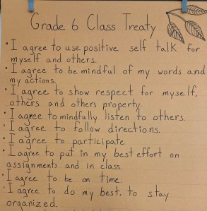 Creating a Classroom Treaty – thepolestarpost